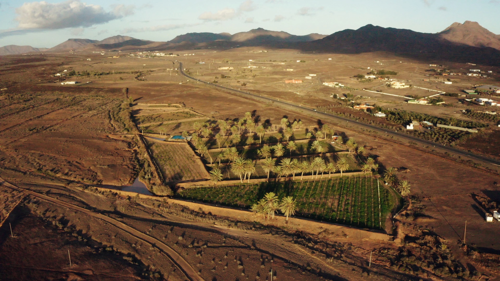 Bodegas La Hubara | Vinos Ecológicos en Fuerteventura